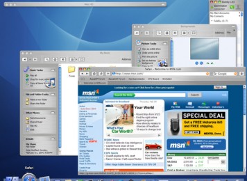 Blue Panther Windows Blind Theme